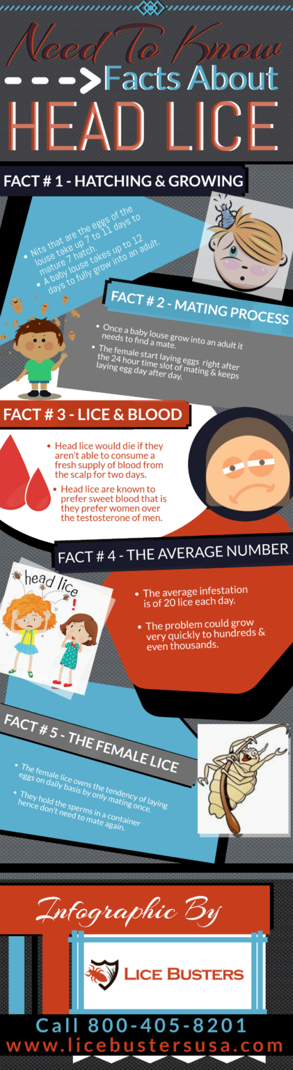 Facts Need to Know About Head Lice [ Infographic ] - Lice Busters USA
