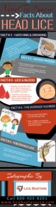 Facts Need to Know About Head Lice [ Infographic ] - Lice Busters USA